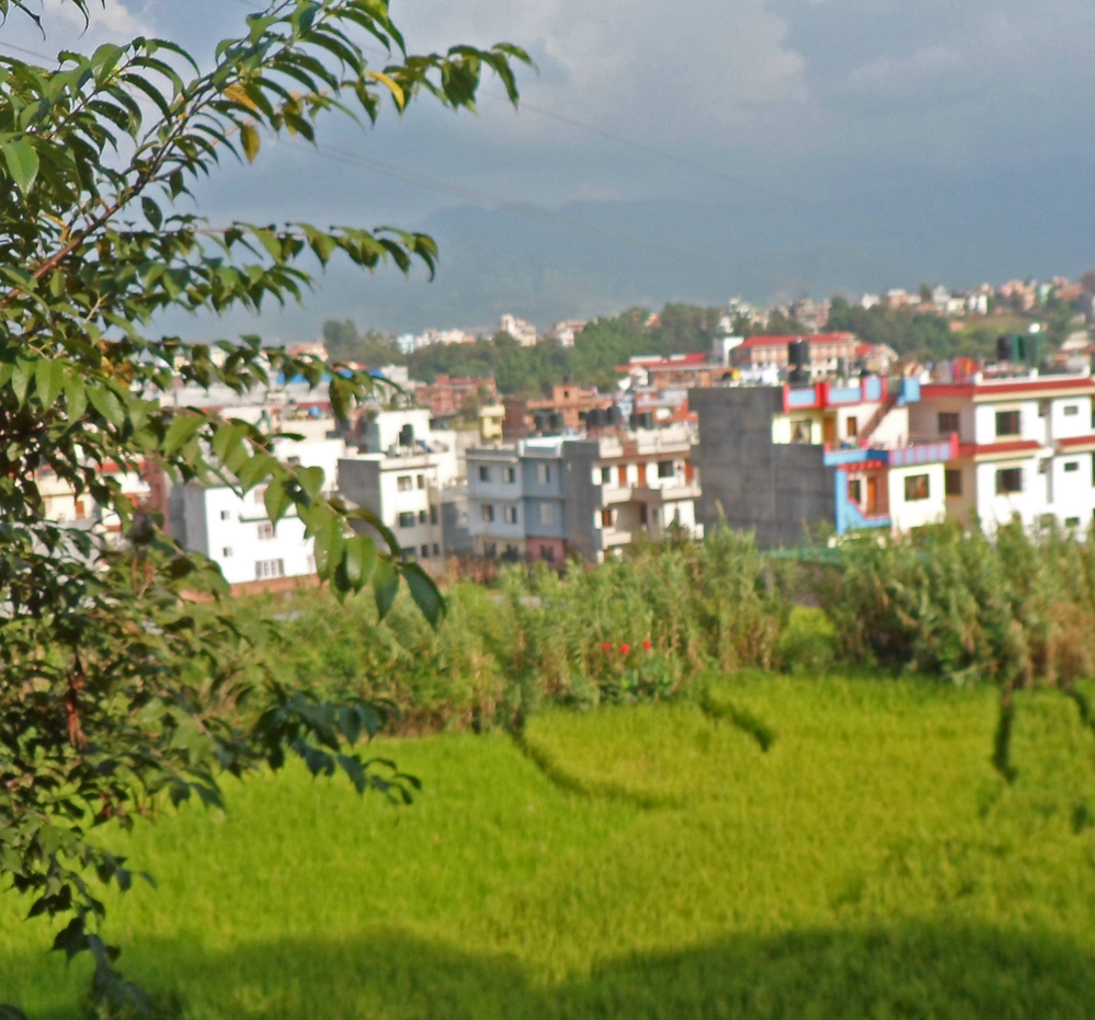 Home - Koseli